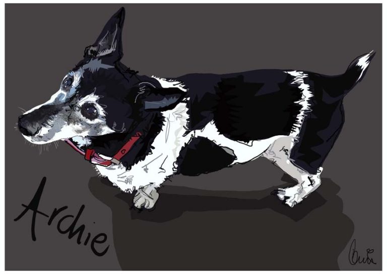 Pet portraits | Dog portraits | Cat portraits | Horse portraits