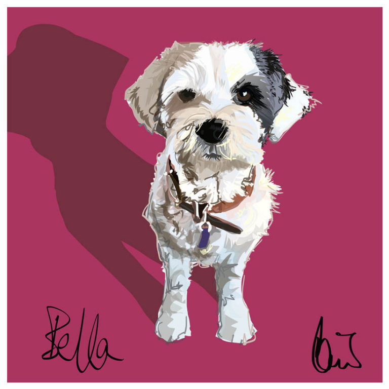 Pet portraits | Dog portraits | Cat portraits | Horse portraits