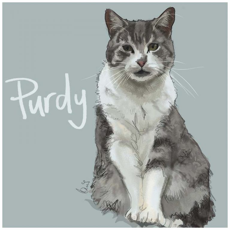 Purdy_30cm_cat-portrait_higgledyink - Higgledy Ink Illustration
